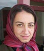 Author Farnaz Fassihi biography and book list