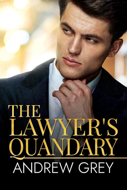 THE LAWYER'S QUANDARY by Andrew Grey